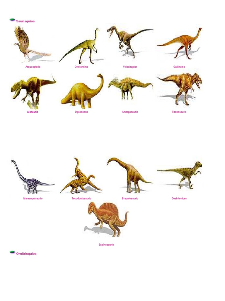 Clasificación de Dinosaurios | PDF