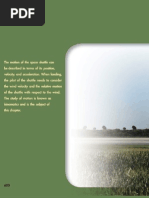 2-4-4 Engineering Lettering Guidelines | PDF