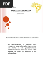 Tabela de Exames e Posicionamento Radiográficos para Pequenos Animais ...