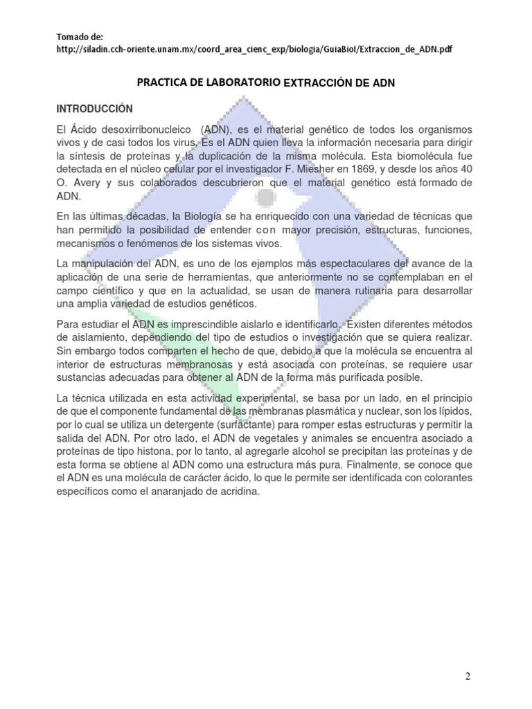 Practica de Laboratorio Extraccion de Adn | PDF | Adn | Genética