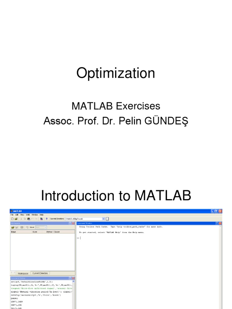Optimization MATLAB Exercises | PDF | Derivative | Numerical Analysis