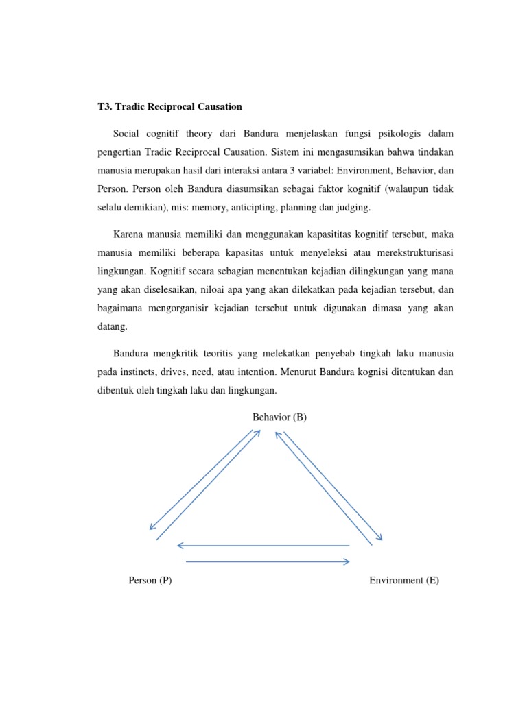 Triadic Reciprocal Causation | PDF
