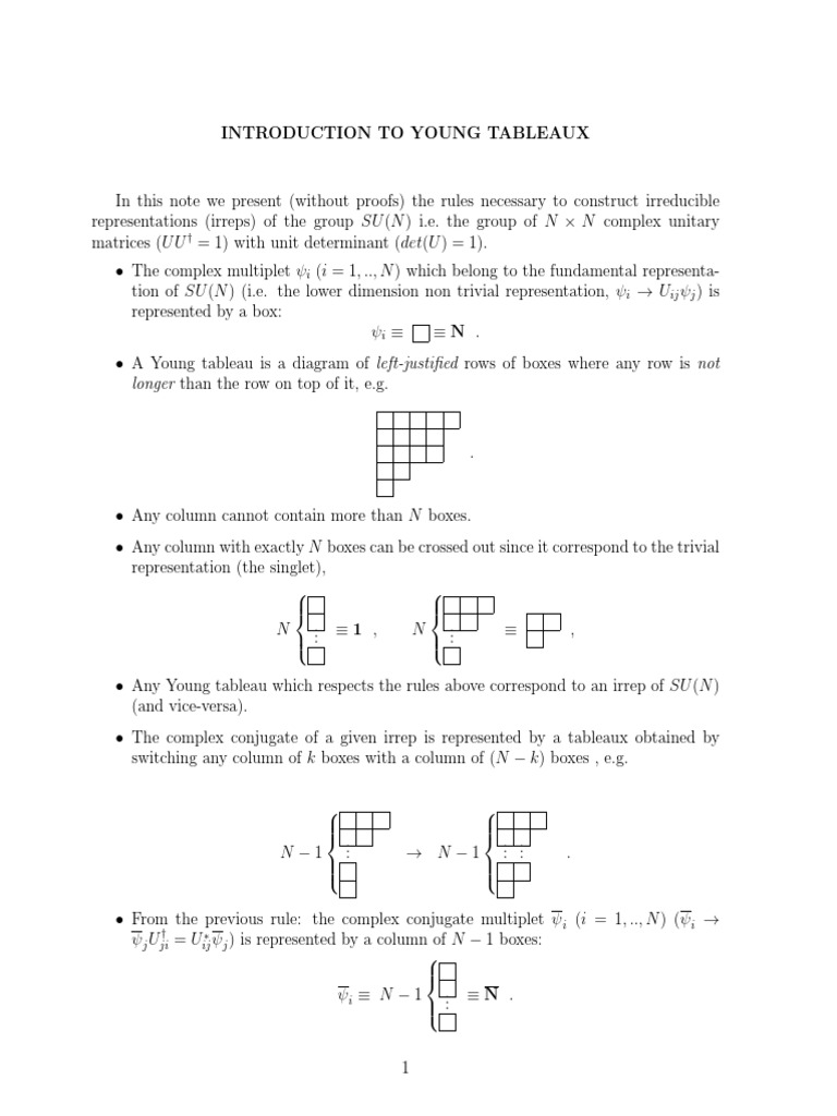 Young Tableaux | PDF | Group Theory | Mathematical Objects