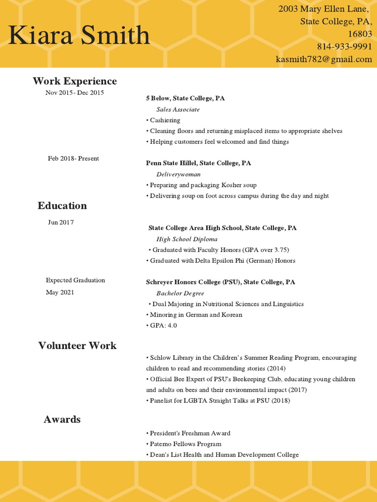 Work Experience | PDF