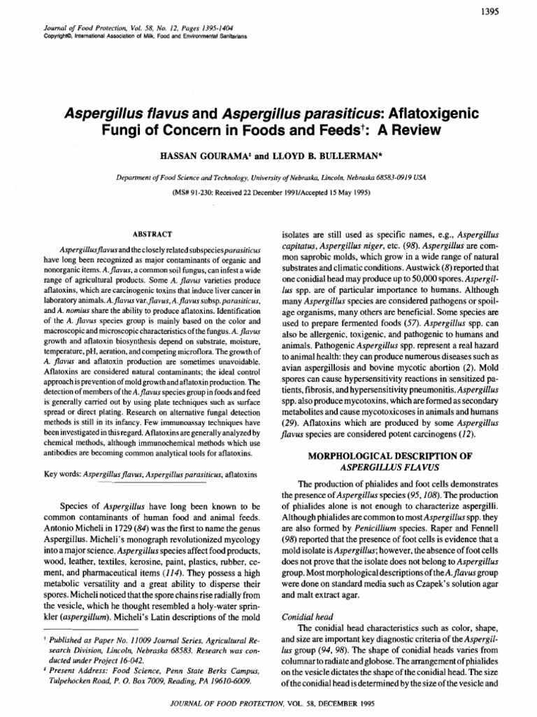 Aspergillus Flavus and Aspergillus Parasiticus: Aflatoxigenic Fungi of ...