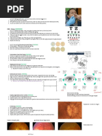 OSCE Checklist Dizziness History Taking | PDF | Vertigo | Epidemiology