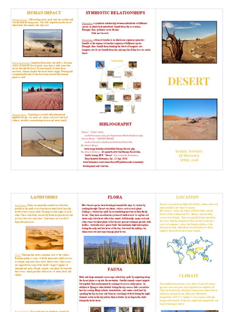 Isabel's Desert Travel Brochure | PDF | Desert | Earth Sciences