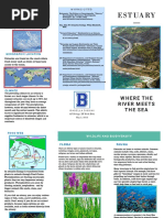 Robby's Desert Biome Travel Brochure | PDF | Desert | Symbiosis