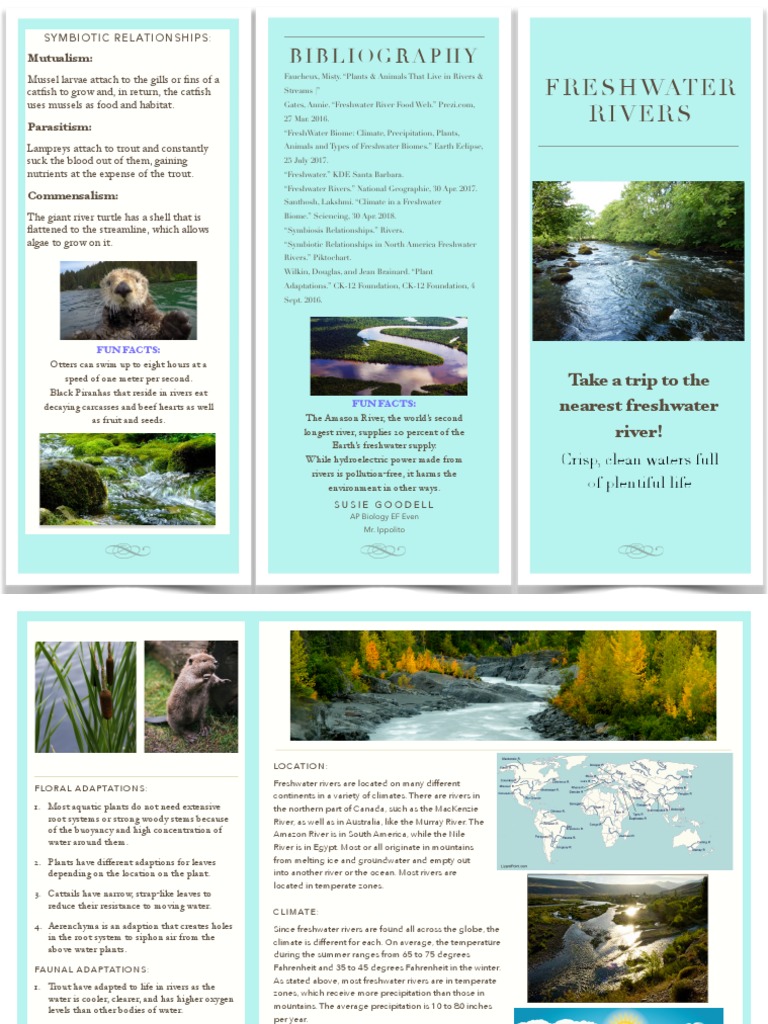 Susie's Freshwater River Travel Brochure | PDF | Symbiosis | Fresh Water