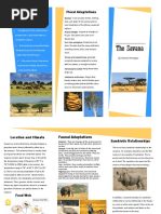Robby's Desert Biome Travel Brochure | PDF | Desert | Symbiosis