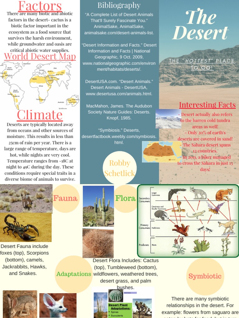 Robby's Desert Biome Travel Brochure | Desert | Symbiosis