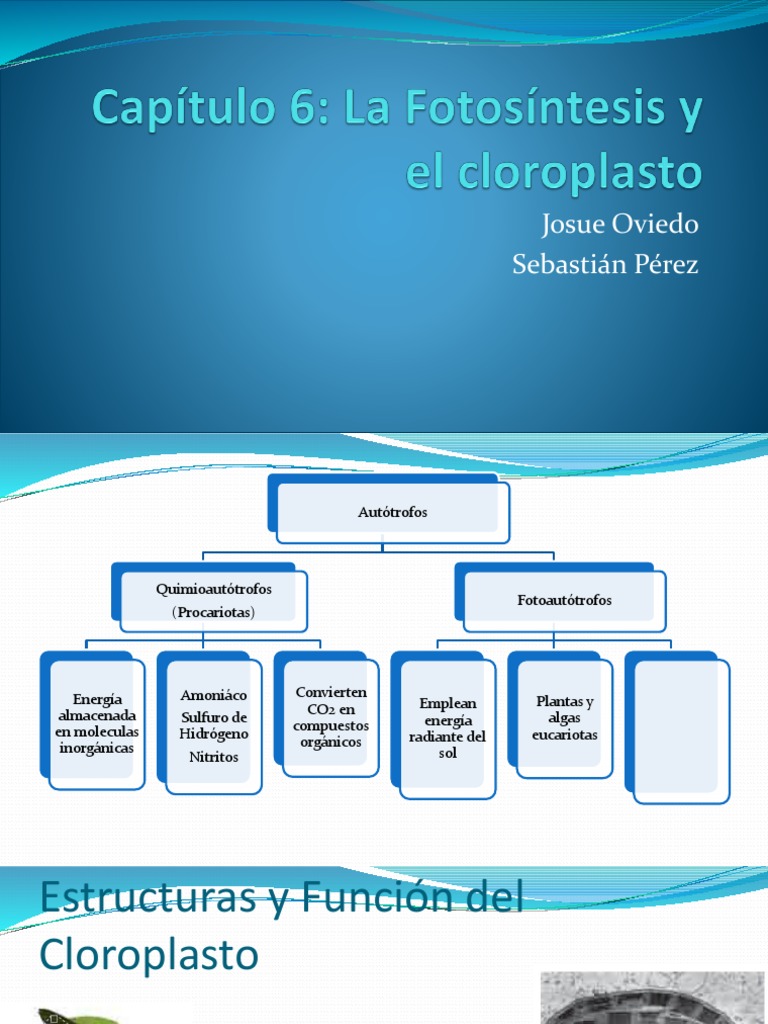 Capítulo 6 de Biología de Karp | PDF