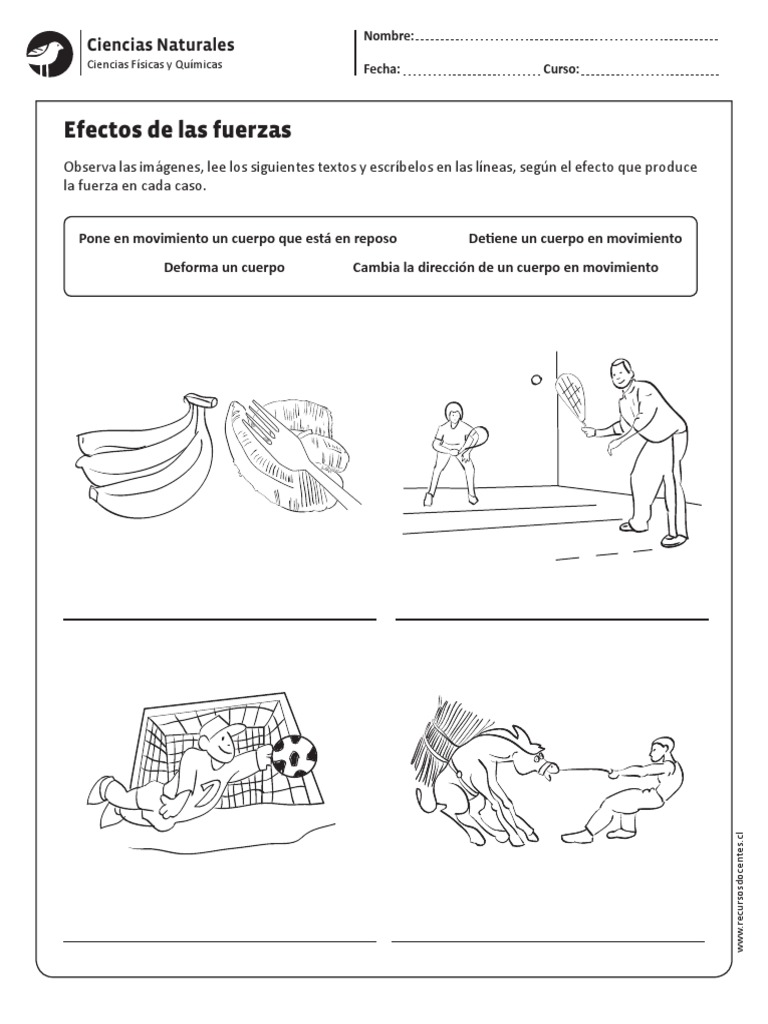 Hoja De Trabajo Sobre El Movimiento Del Cuerpo El Movimiento | PDF