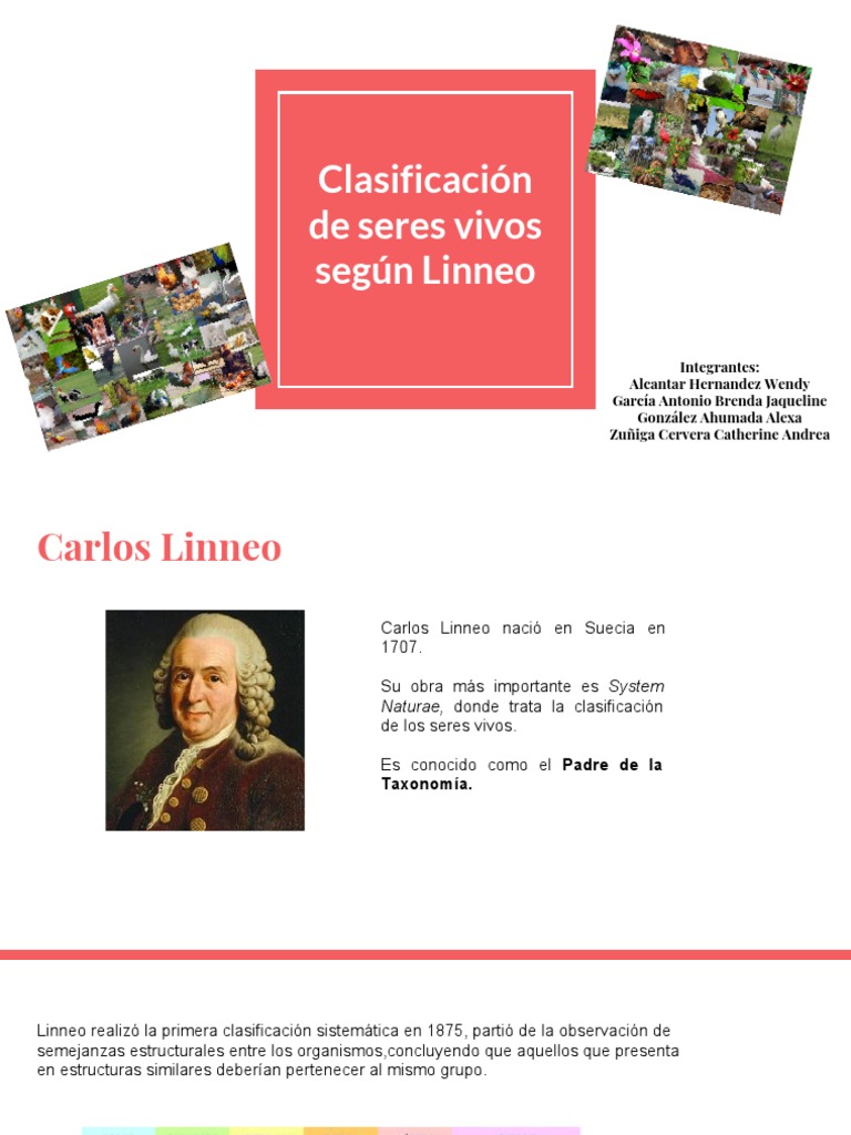 Clasificación de Seres Vivos Según Linneo | PDF | Plantas | Hongo