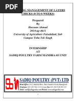 Layer Chicken Feed Consumption Chart | PDF