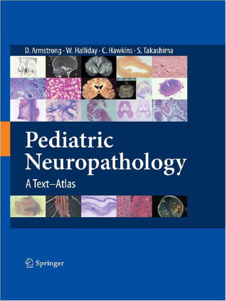 Atlas Pediatric | PDF | Cerebral Cortex | Dendrite