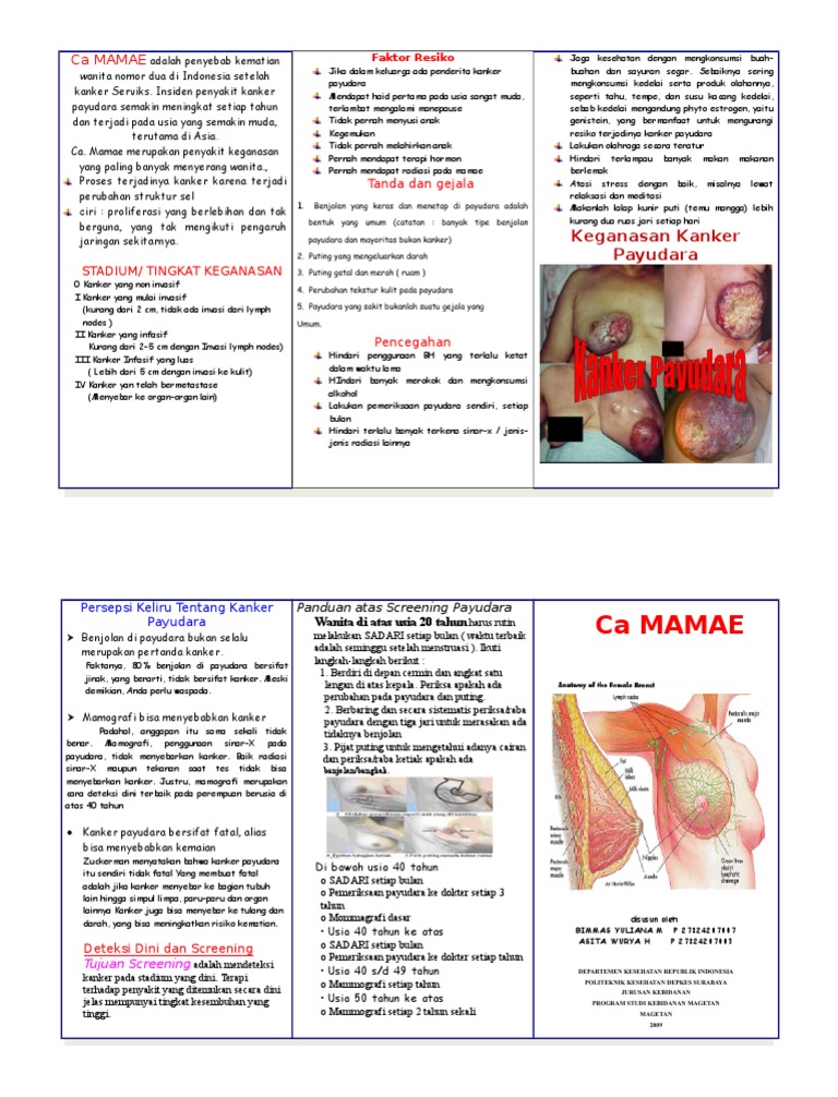 Ca Mamae | PDF
