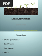 Parts of The Plant PPT Presentation | PDF | Leaf | Flowers