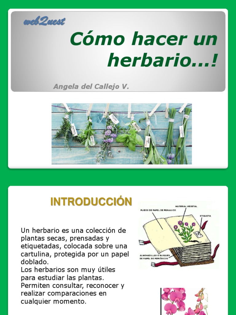 Webquest Tarea | PDF | Tecnología