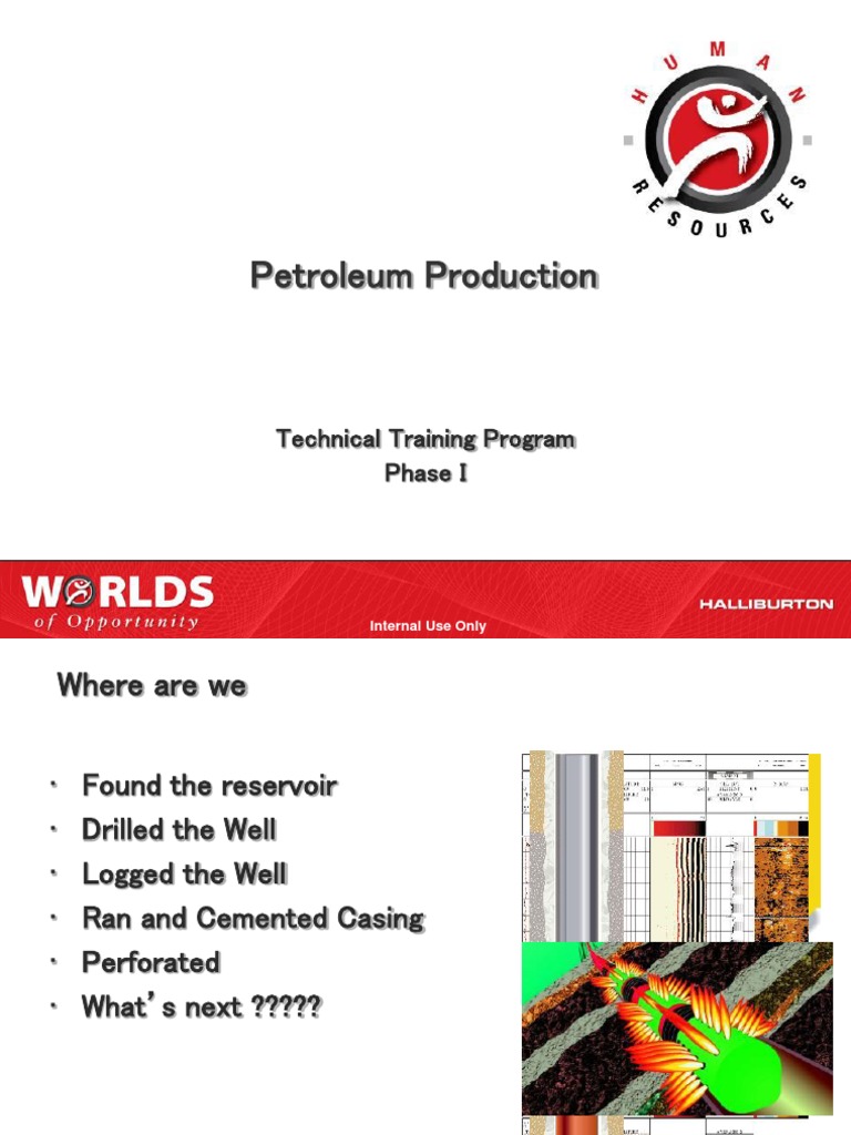 Petroleum Production: Technical Training Program Phase I | PDF ...