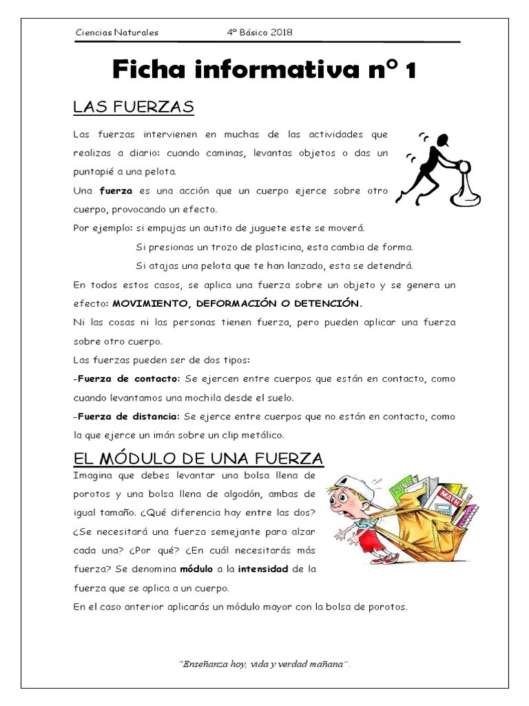 Fichas Informativas | PDF | Imán | Carga eléctrica