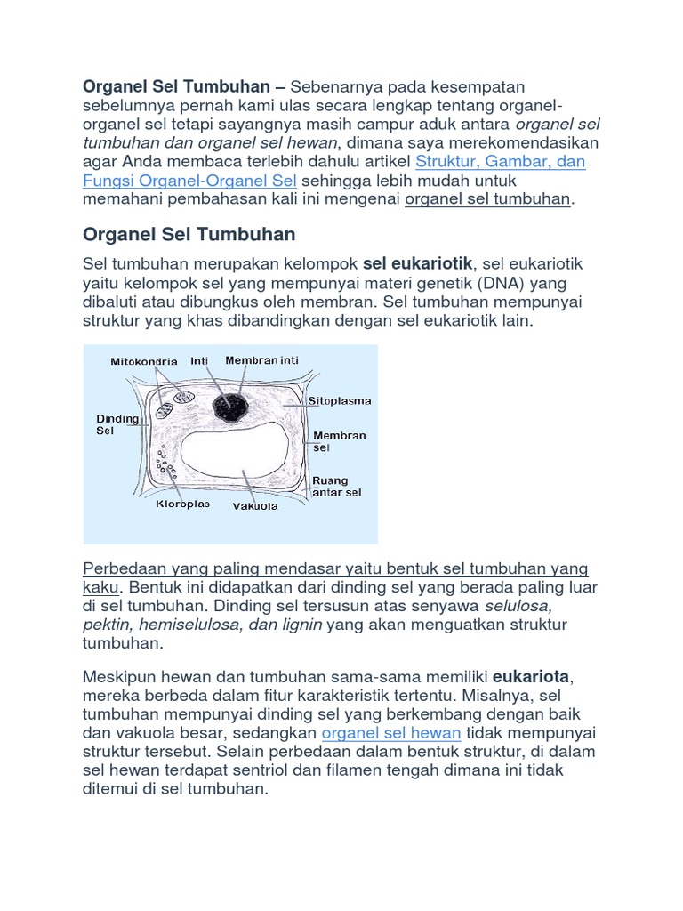 Organel Sel Tumbuhan: Struktur, Gambar, dan Fungsi | PDF