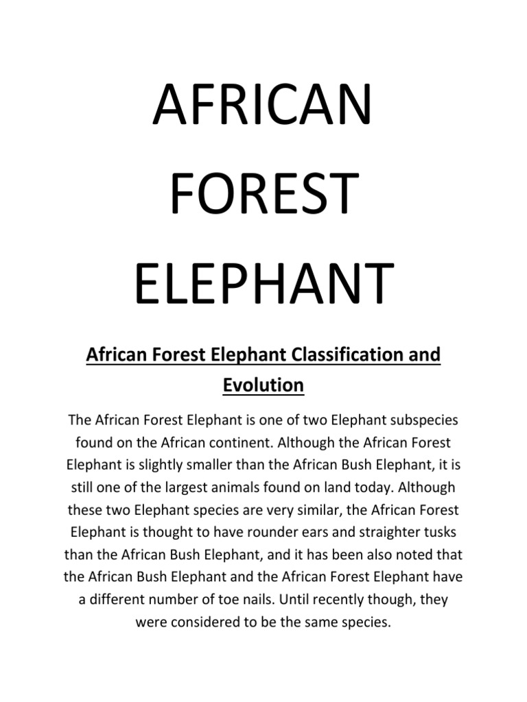 African Forest Elephant | PDF | Elephant | Organisms