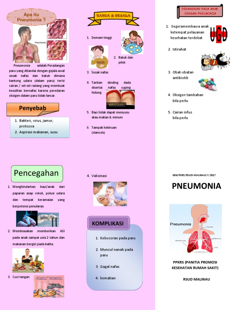 Leaflet Pneumonia | PDF