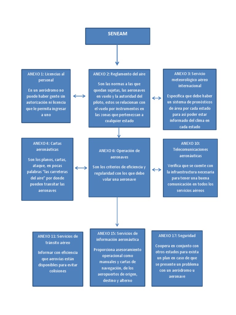 Seneam | PDF | Aeropuerto | Aeronave