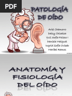 Otoscopia Normal | PDF | Oído | Anatomía