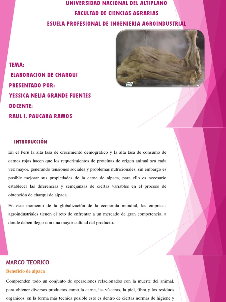 Elaboracion de Charqui | Carne | sal