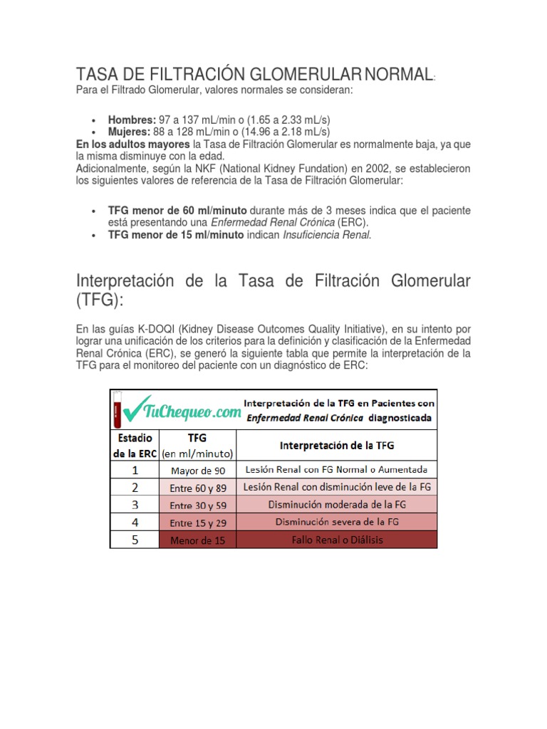 Tasa de Filtración Glomerular | PDF