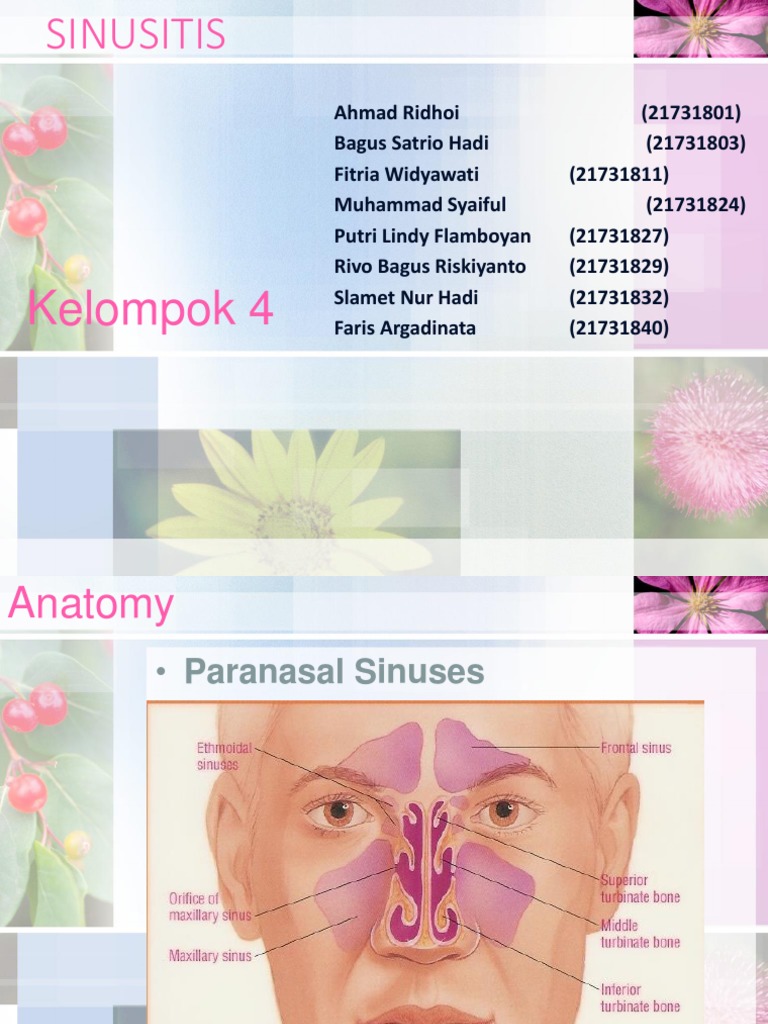 Panduan Lengkap Sinusitis dan Gejalanya | PDF | Kesehatan Holistik ...