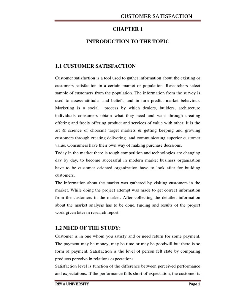 Customer Satisfaction: Introduction To The Topic | PDF | Financial ...