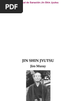 JIN SHIN JYUTSU Apertura 26 Cierres de Seguridad | PDF | Violencia | Agitación