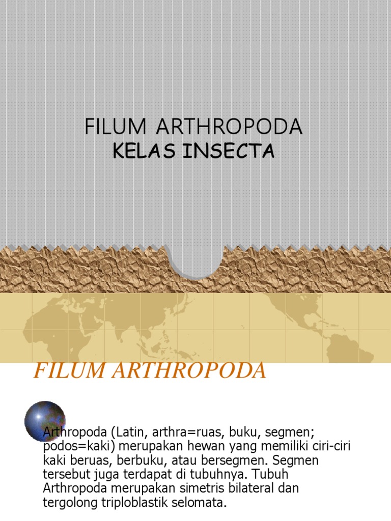 Ciri dan Contoh Kelas Insecta | PDF | Griya & Taman | Sains & Matematika