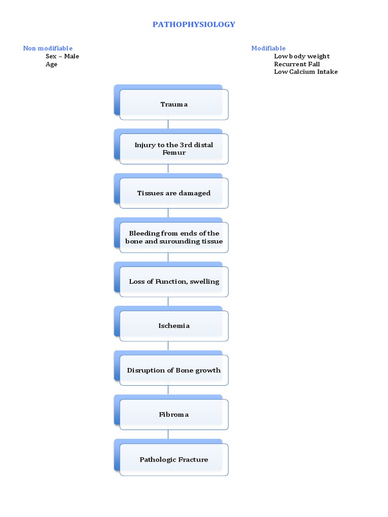 CASe Pres PAtho | PDF