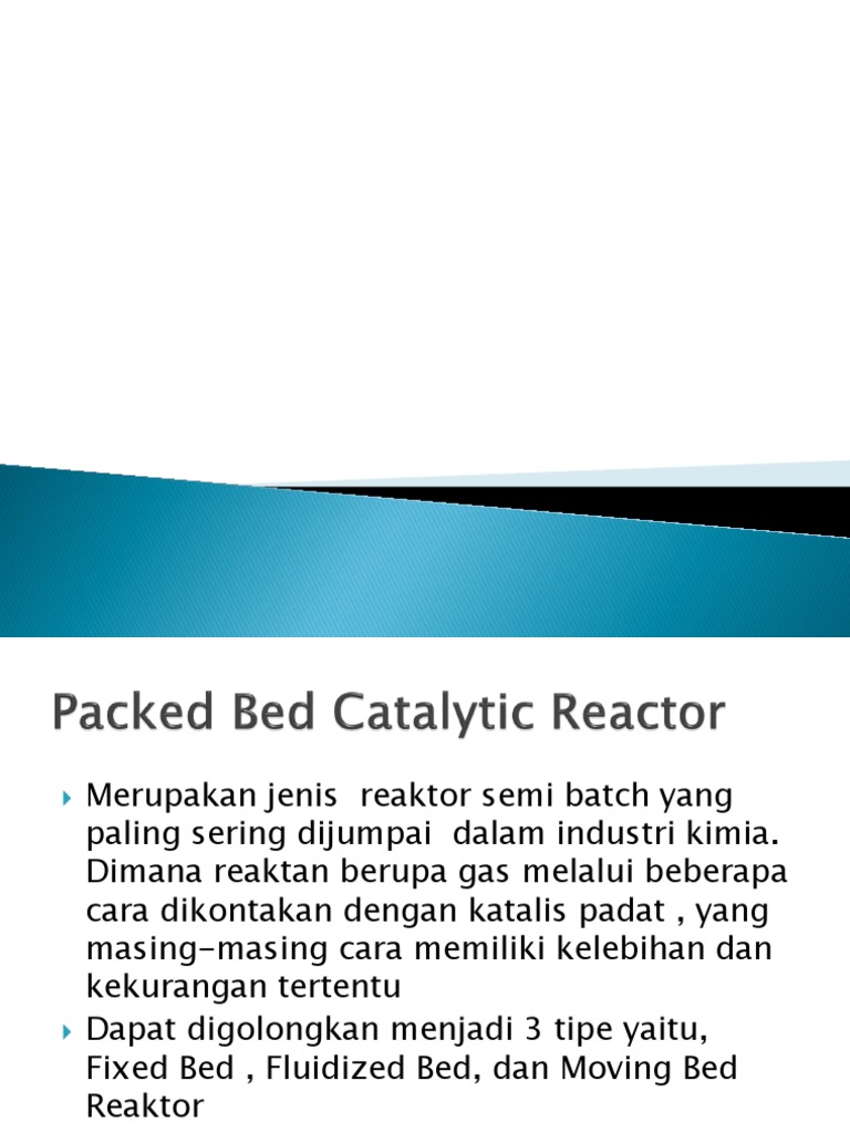 Packed Bed Catalytic Reaktor | PDF