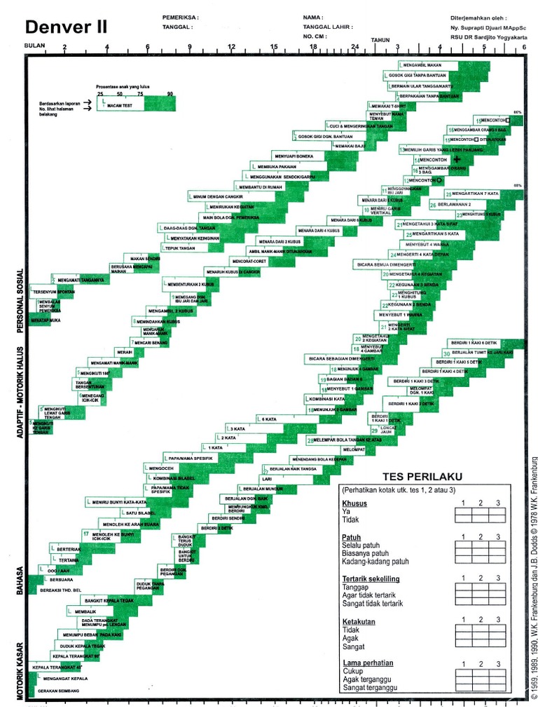 Format DDST II | PDF
