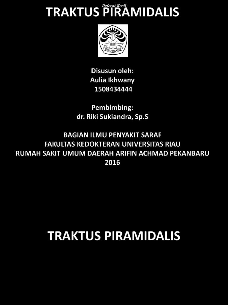 Traktus Piramidalis | PDF