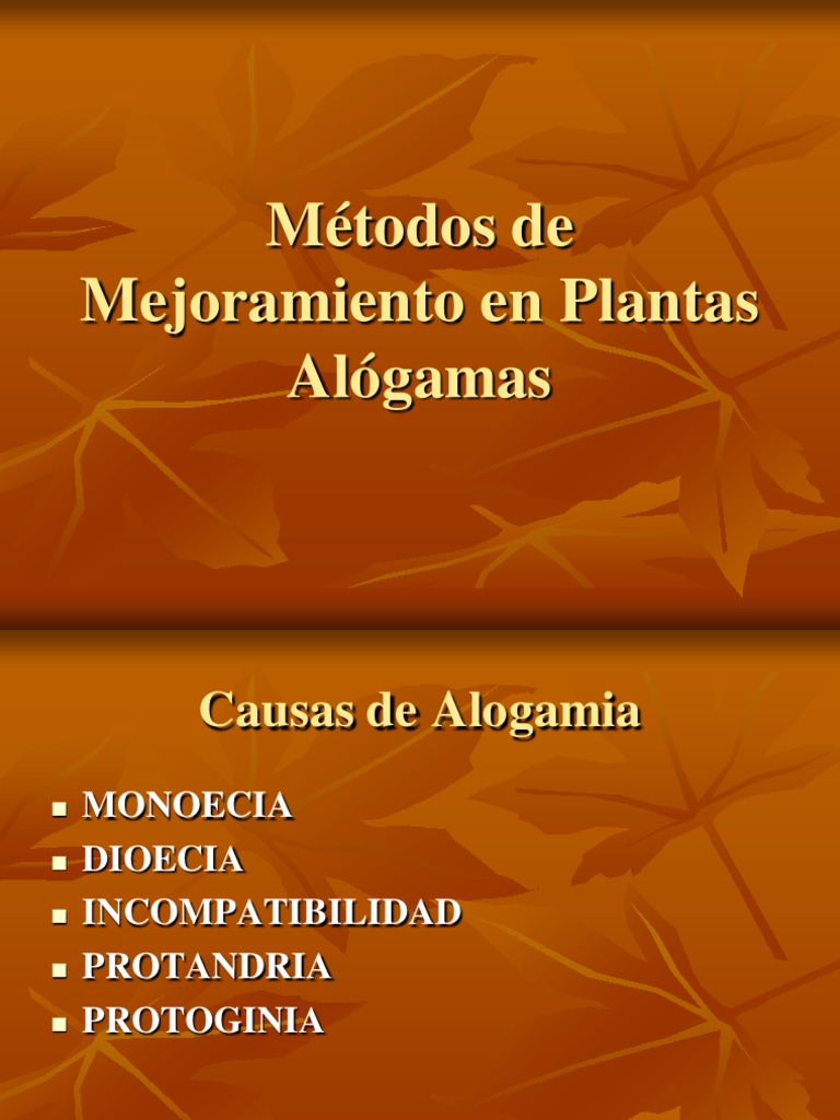 Mejora Plantas Alógamas, Presentación PDF | PDF | Biología | Organismos