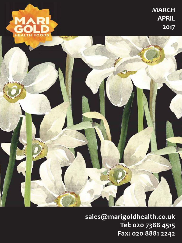 Marigold Digital Price List March 2017 | PDF