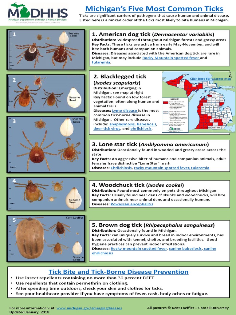 Ticks in Michigan | PDF | Dogs | Animals And Humans