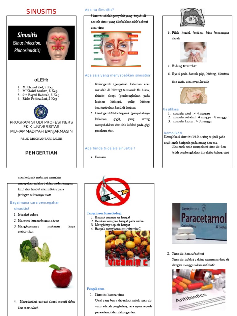 Panduan Lengkap Sinusitis | PDF