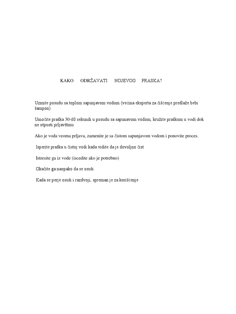 Odrzavanje Praska | PDF