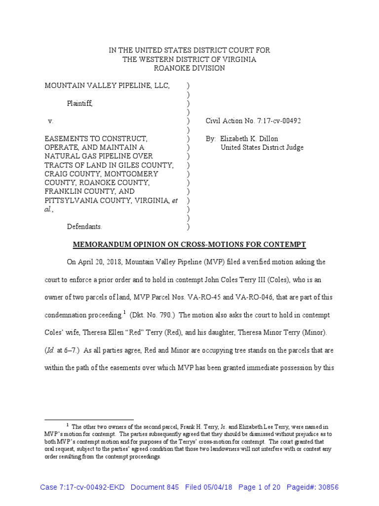 Terry Ruling On Cross Motion For Contempt | PDF | Contempt Of Court ...