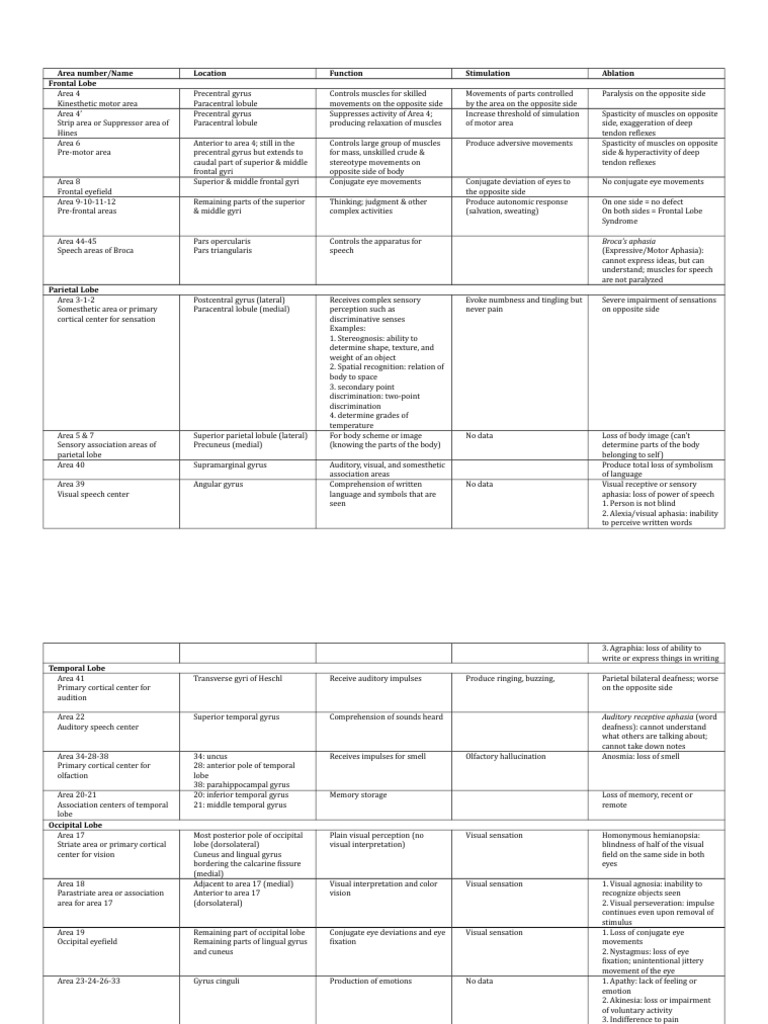 Brodmann Areas Table | PDF | Parietal Lobe | Temporal Lobe