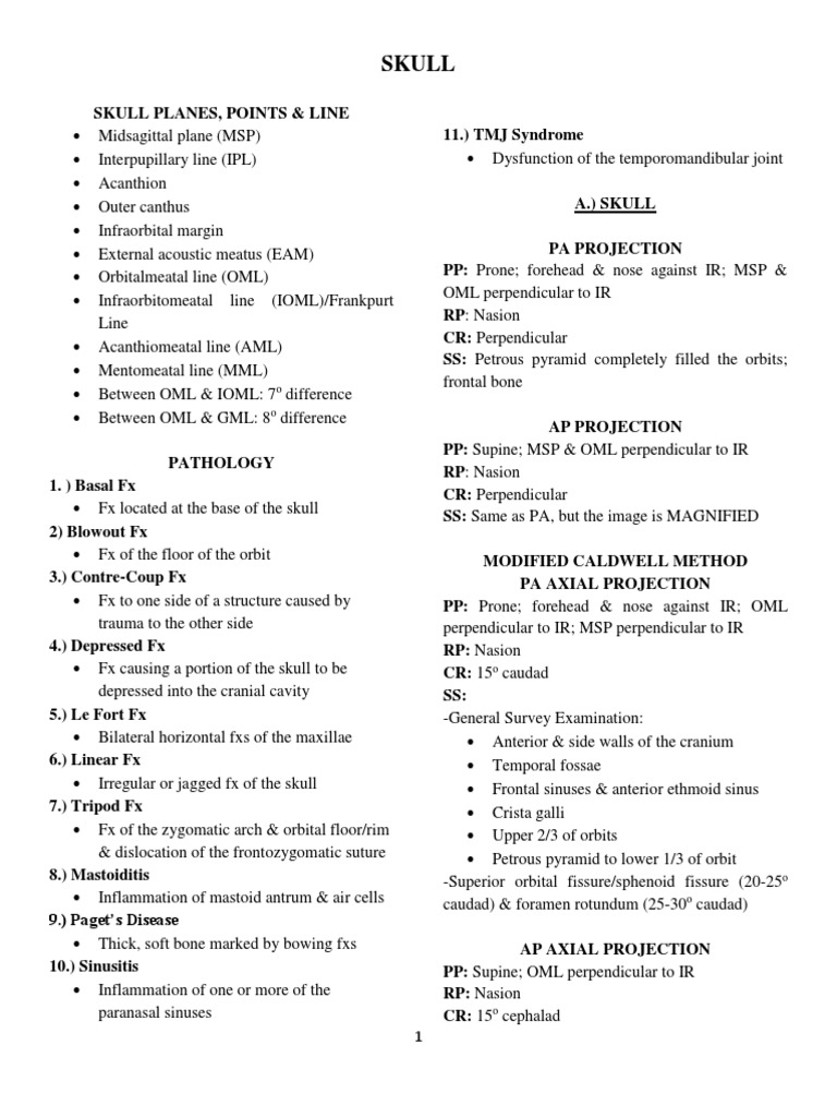 Skull | PDF | Skull | Anatomical Terms Of Location