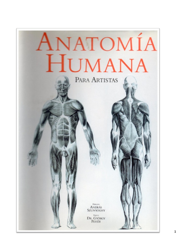 Anatomía Para Artistas Pdf