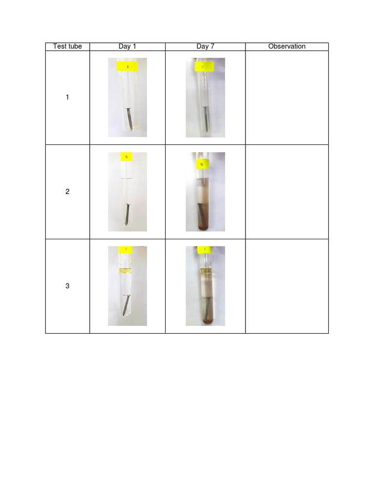 A Weekly Observation of Bacterial Growth in Test Tubes: Documenting ...